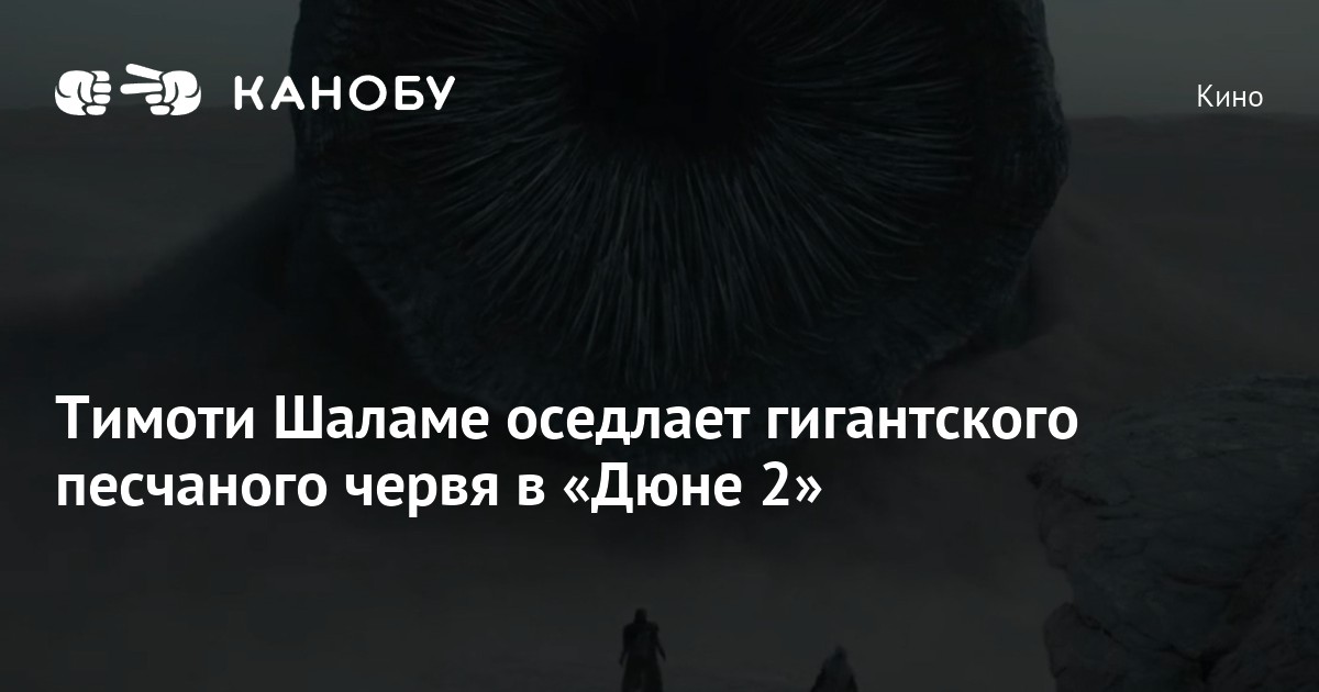Тимоти Шаламе оседлает гигантского песчаного червя в «Дюне 2 Канобу