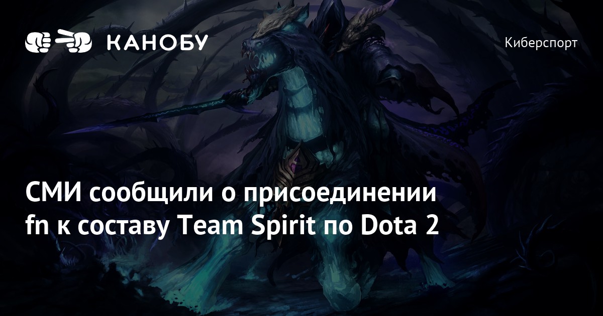 СМИ сообщили о присоединении fn к составу Team Spirit по Dota 2